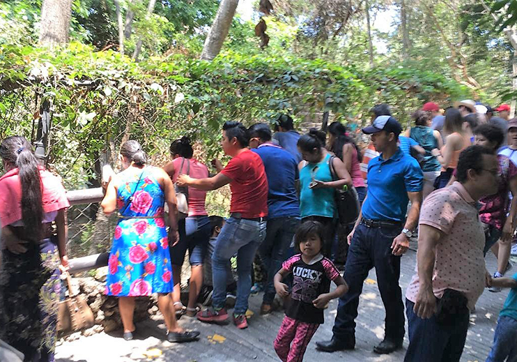Más de 43 mil personas visitaron el ZooMAT durante el periodo ...